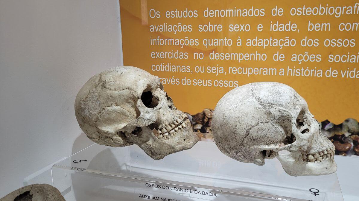 FOTOS: Museu Sambaqui celebra aniversário com exposições sobre cultura ...