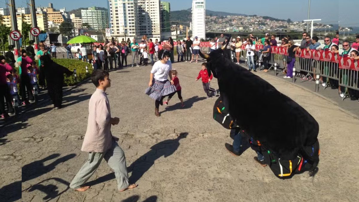 Entenda a história do Boi de mamão, patrimônio imaterial de ...